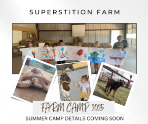 SuperFarm SuperCamp – Superstition Farm